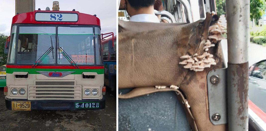 Tular imej kerusi bas Bangkok tumbuh cendawan, pihak pengurusan mohon ...