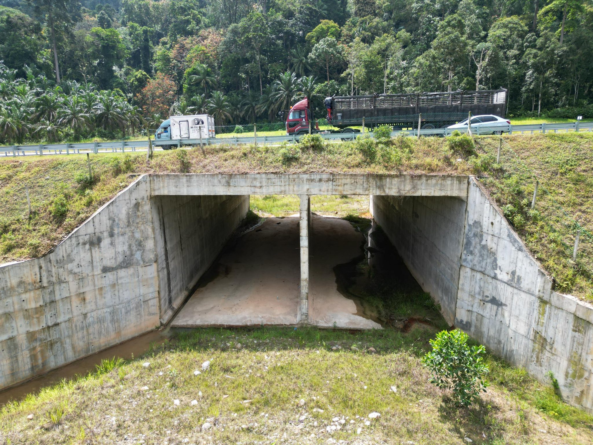 KKR : Lebuh raya, jalan raya baharu akan dibina dengan terowong hidupan ...